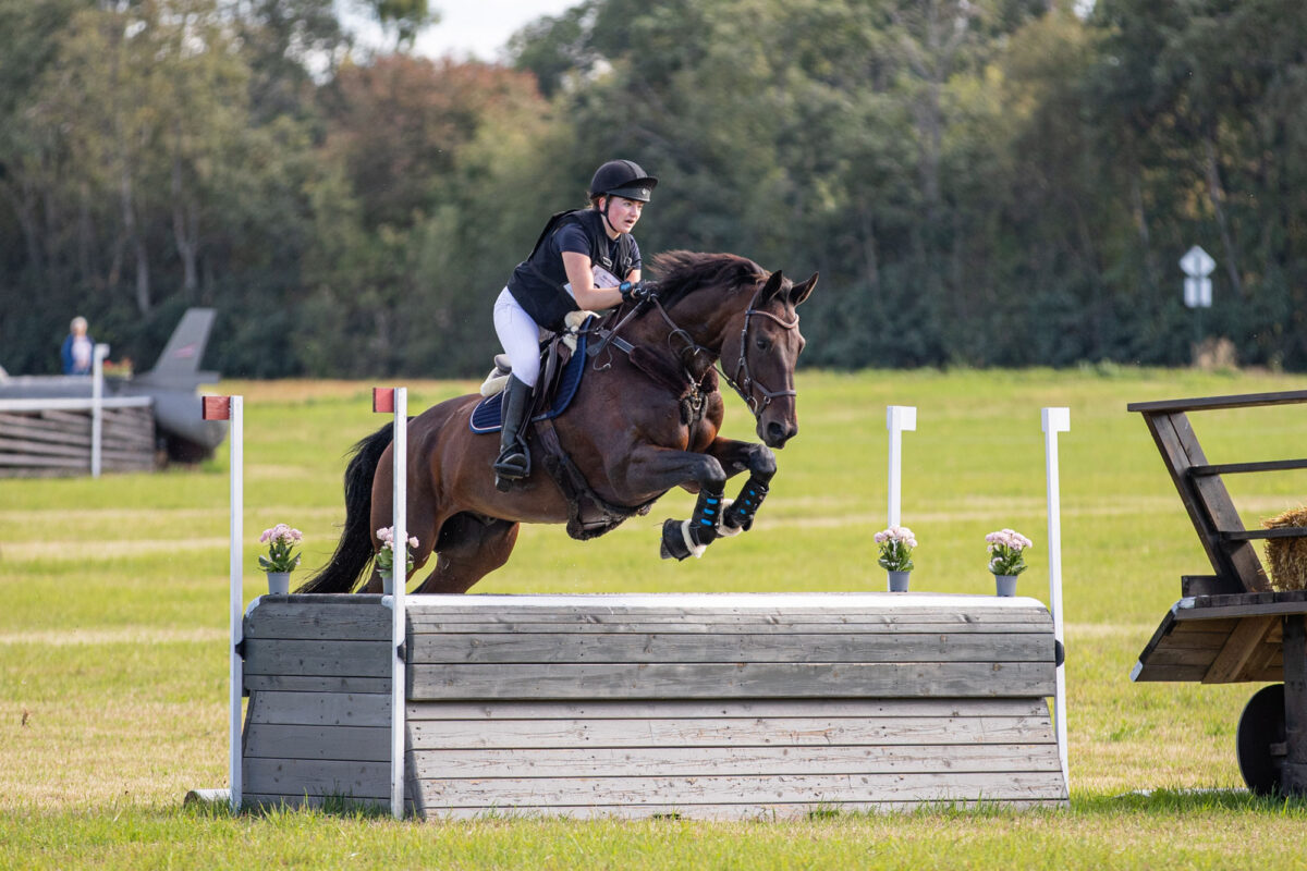 Norsk Breeders Trophy // Breeders Open i feltritt 2022 - Norsk Varmblod