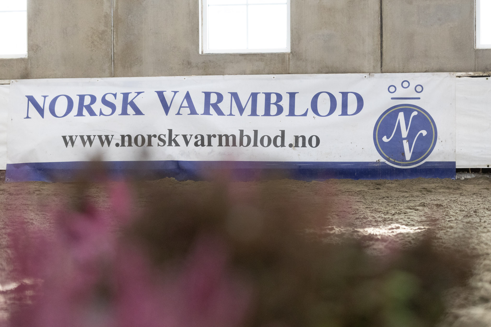 Ønsker du å bli medlem av Norsk Varmblod? - Norsk Varmblod