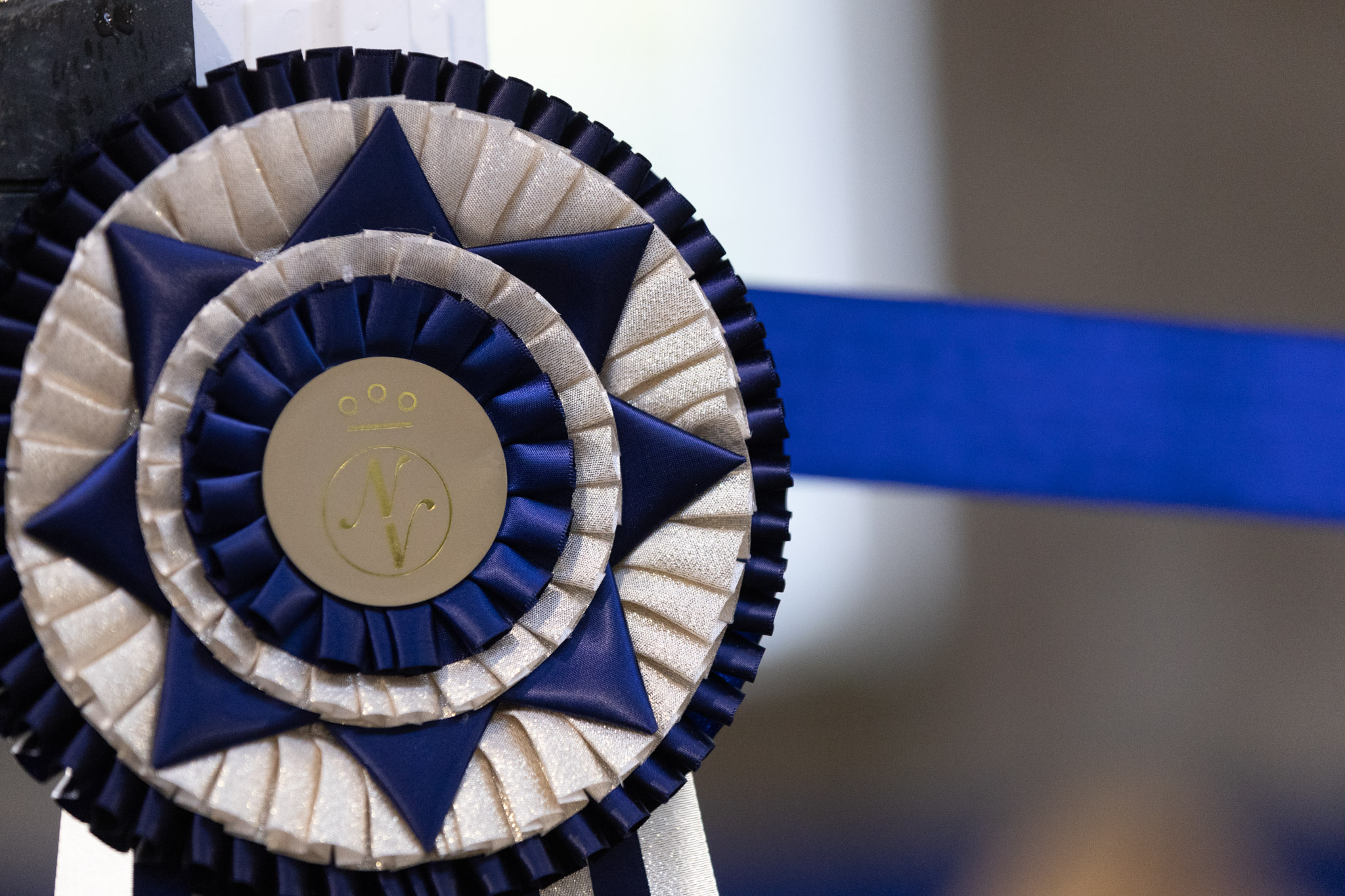 Norsk Varmblod - Norsk Varmblod