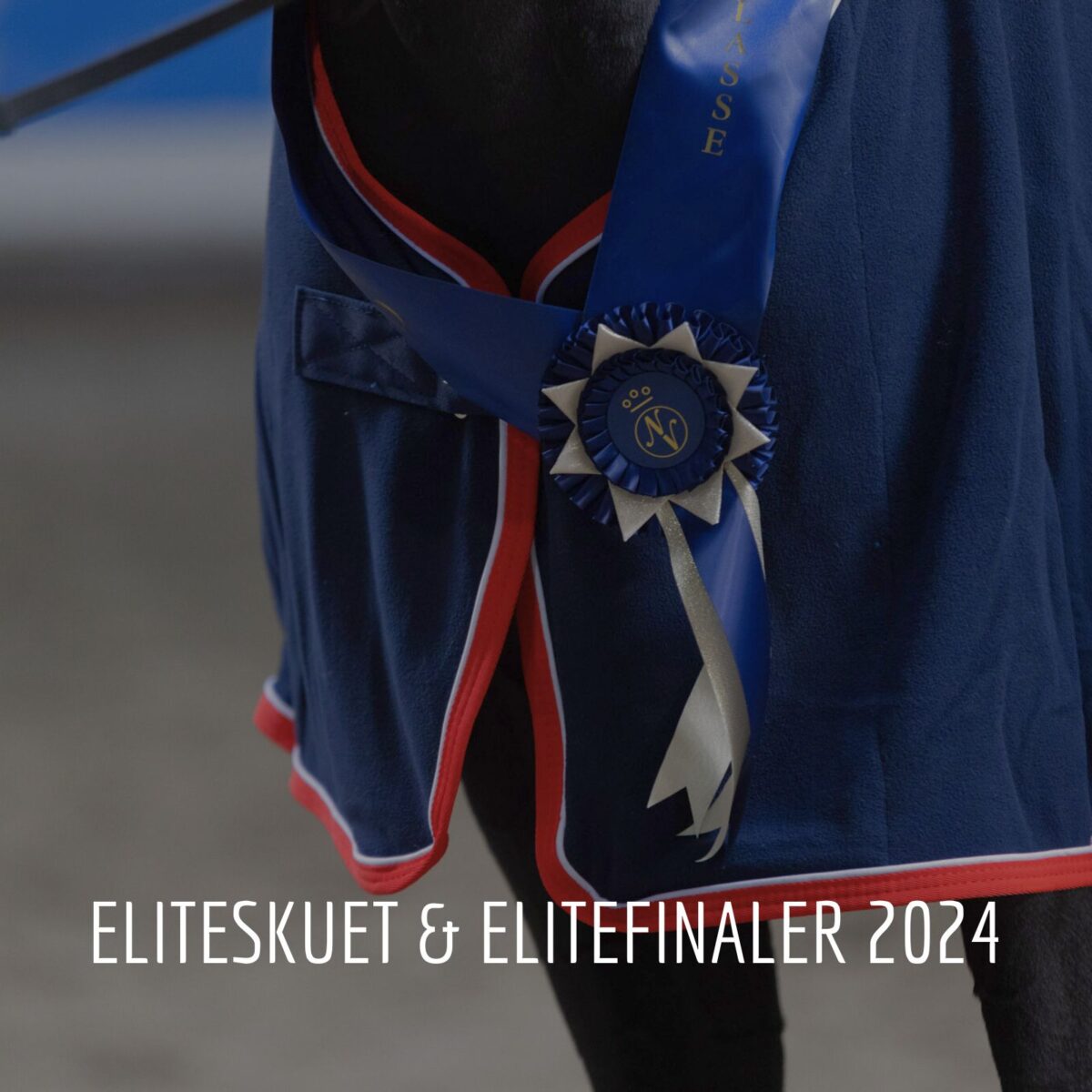 Norsk Varmblod - en interesseorganisasjon for varmblodige ridehester